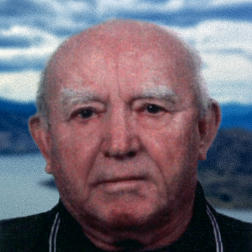 NAGY, Louis UPDATED SERVICE INFORMATION - Springfield Funeral Home ...