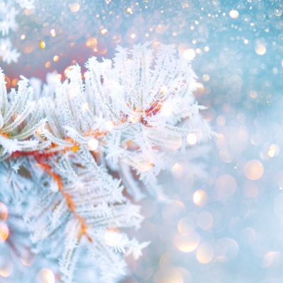 SWART, Diana - Springfield Funeral Home & Crematorium » Kelowna ...